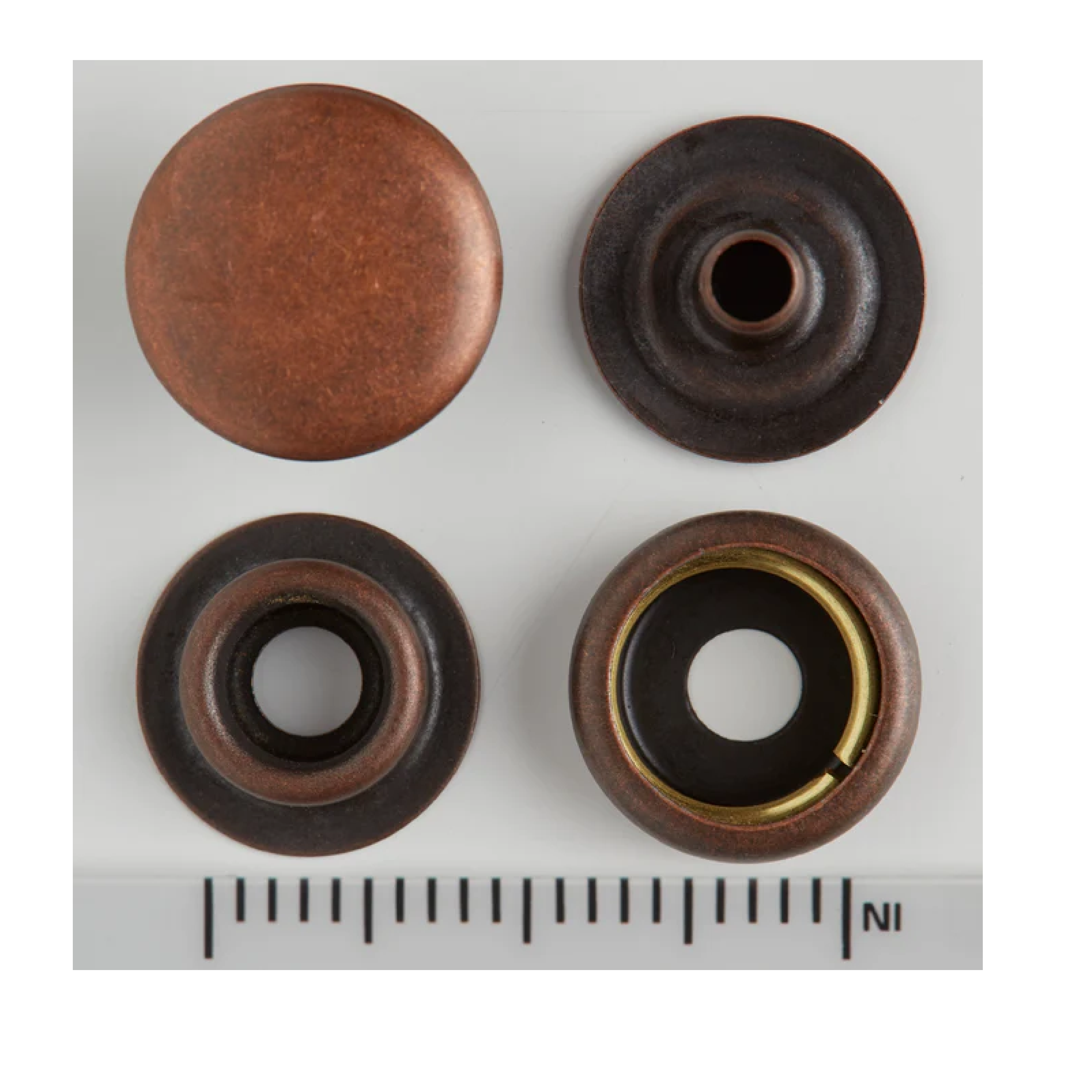 Tandy Leather Line 24 Snaps Antique Copper Plate 10/pk 1263-06 – Guys ...